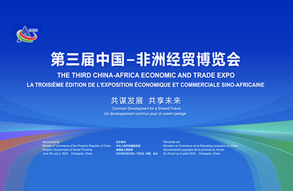 Electricity Meters - Wasion International