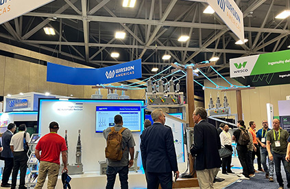 Electricity Meters - Wasion International